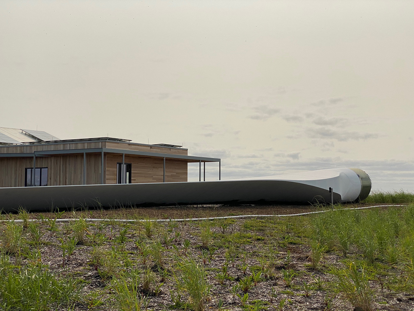 Jones Beach Energy and Nature Center | Starr Whitehouse